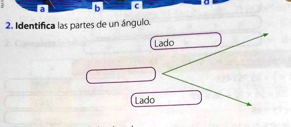 SOLVED: Identifica las partes de un ángulo 6 2. Identifica las partes ...