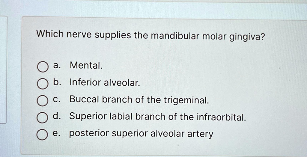 SOLVED: Which nerve supplies the mandibular molar gingiva? a. Mental. b ...
