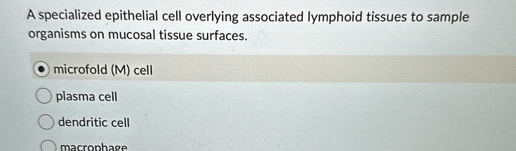 A specialized epithelial cell overlying associated lymphoid tissues to ...