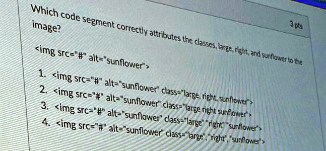 Solved Which Code Image Segment Correctly 3pts Attributes The 1546