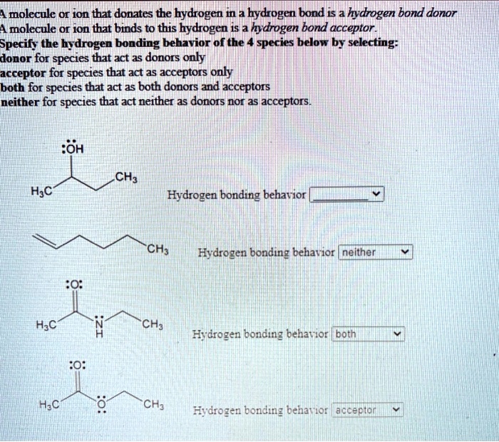 SOLVED: molecule or ion that donates the hydrogen in hydrogen bond is a ...