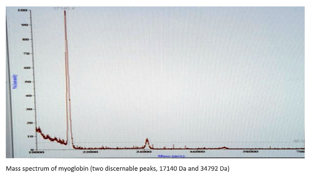 SOLVED: Mass spectrum of myoglobin (two discernable peaks, 17140 Da and ...
