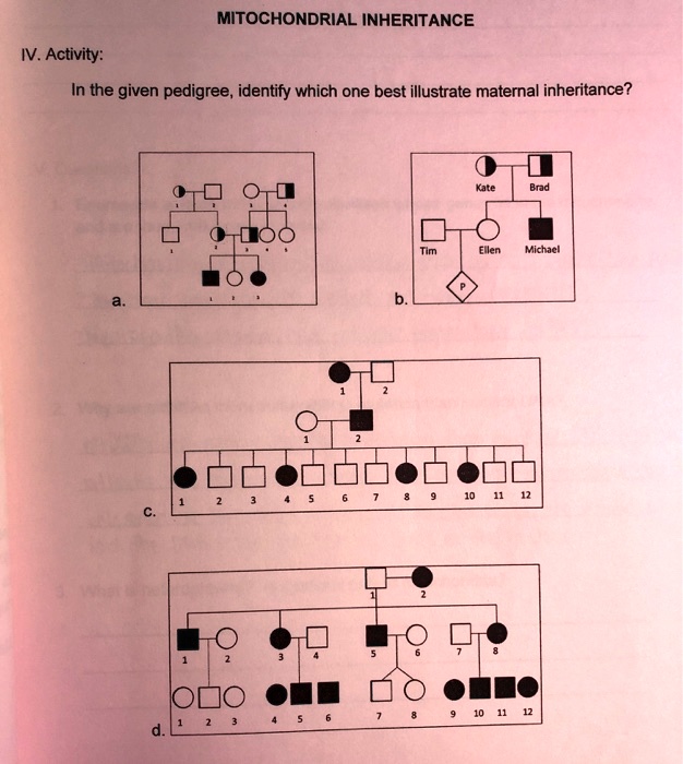 MITOCHONDRIAL INHERITANCE IV. Activity: In the given...