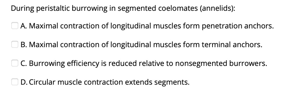 SOLVED: During peristaltic burrowing in segmented coelomates (annelids ...