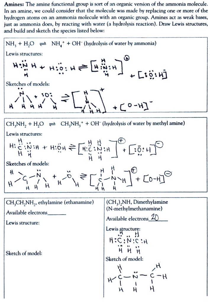 amines the amine functional group is sort of an organic version of the ...