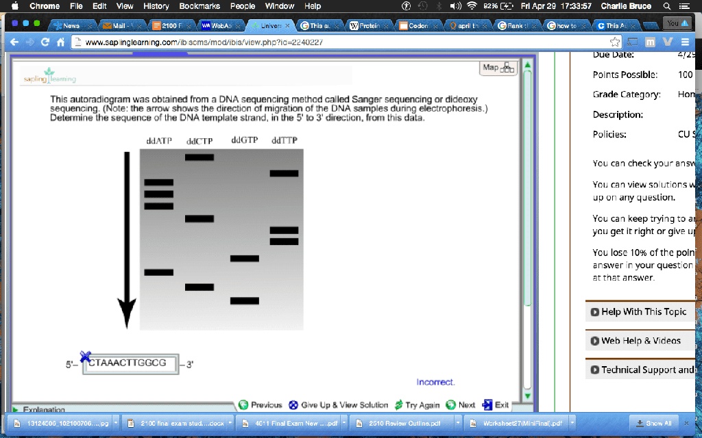 This autoradiogram was obtained from a DNA sequencing method called ...