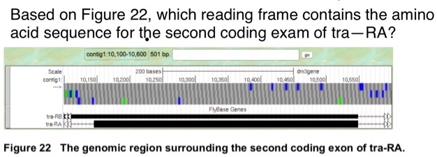 SOLVED: Based on the screenshot shown in Figure 22, which reading frame ...