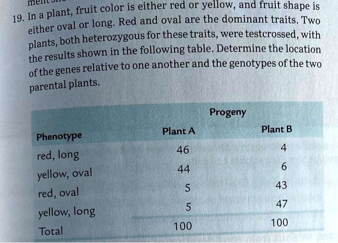 SOLVED:mem fruit color is either red or yellow, and fruit ~shape is 19 ...