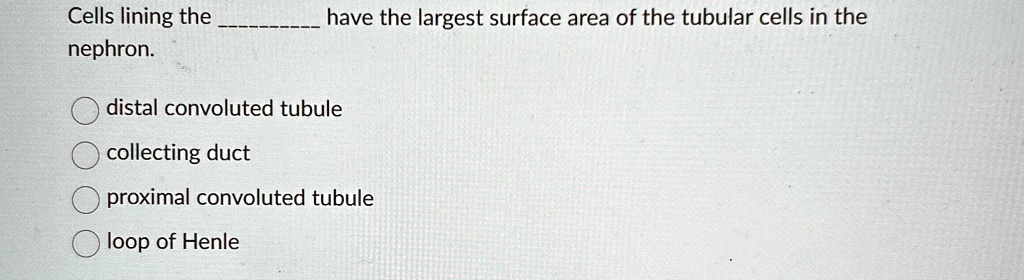 cells lining the have the largest surface area of the tubular cells in ...
