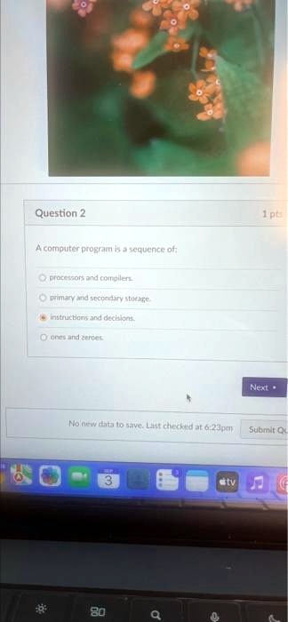 Question 2 A computer program is a sequence of: processors and ...