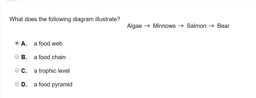 SOLVED: 'heLPP PLEASeee What does the following diagram illustrate ...
