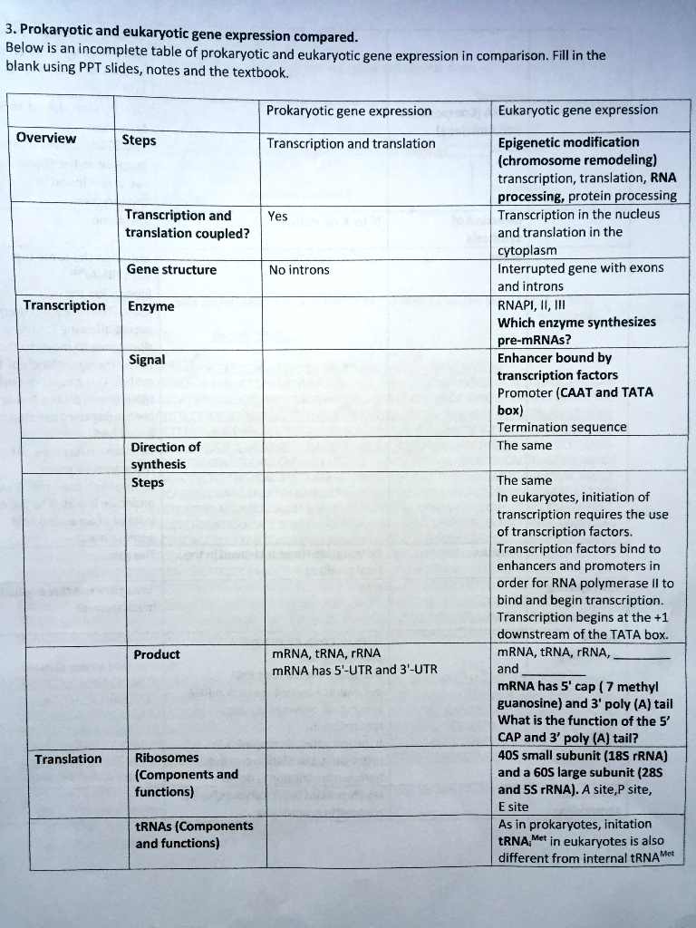 3 prokaryotic and eukaryotic gene expression compared below is an ...