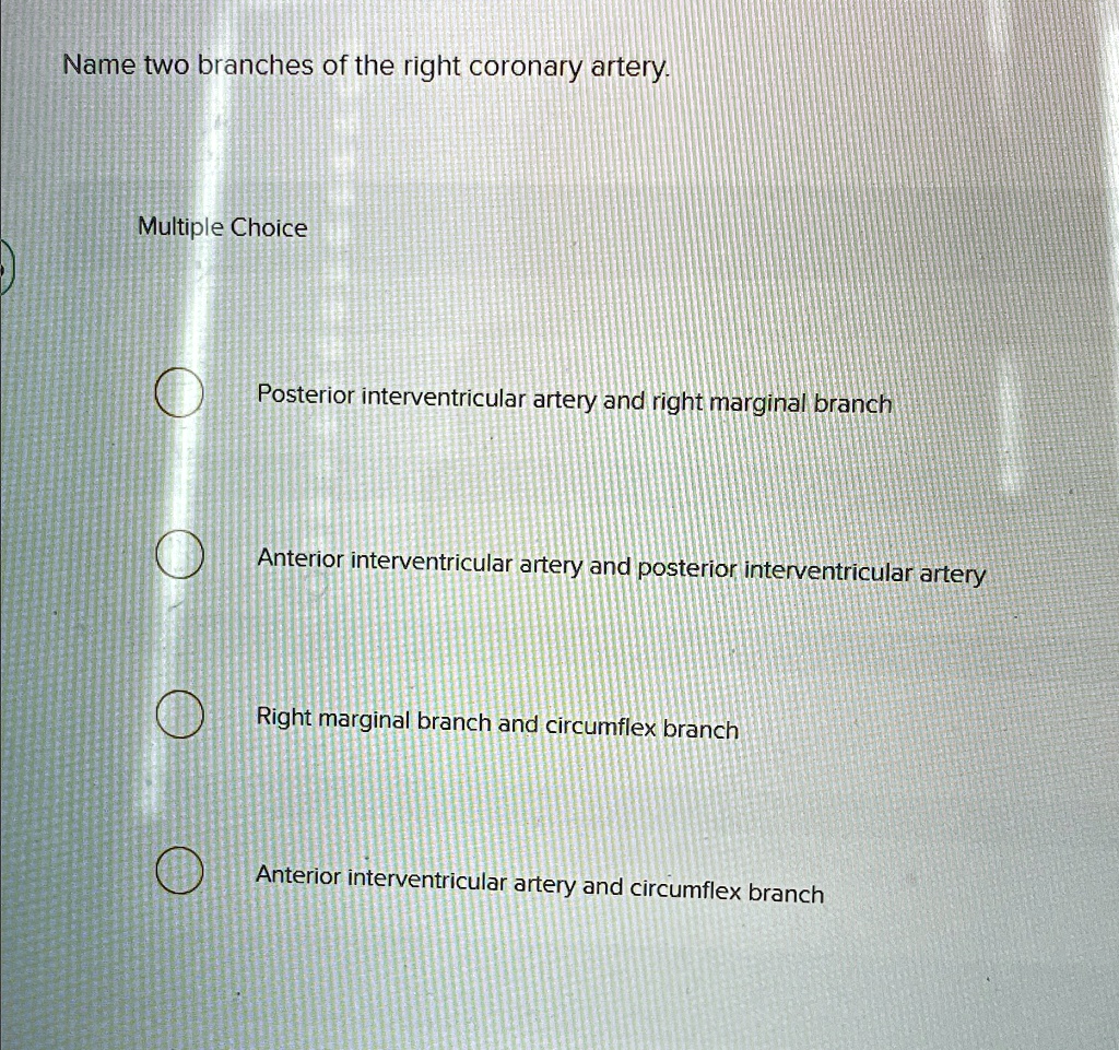 Name two branches of the right coronary artery. Multiple Choice ...
