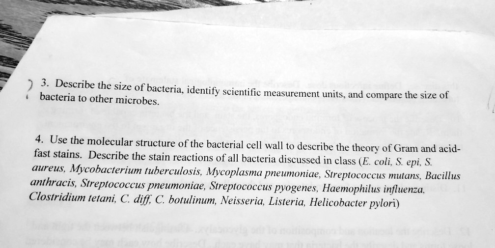 3. Describe the size of bacteria, identify scientific measurement units ...