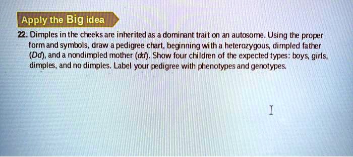 apply the big idea 22 dimples inthe cheeks are inherited as dominant ...