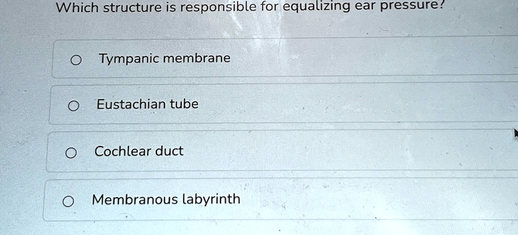 which structure is responsible for equalizing ear pressure o tympanic ...