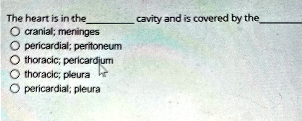 The heart is in the cavity and is covered by the ? cranial; meninges ...
