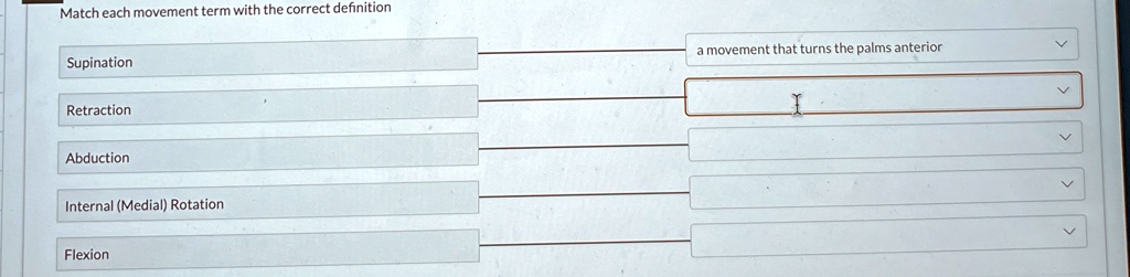 match each movement term with the correct definition supination ...