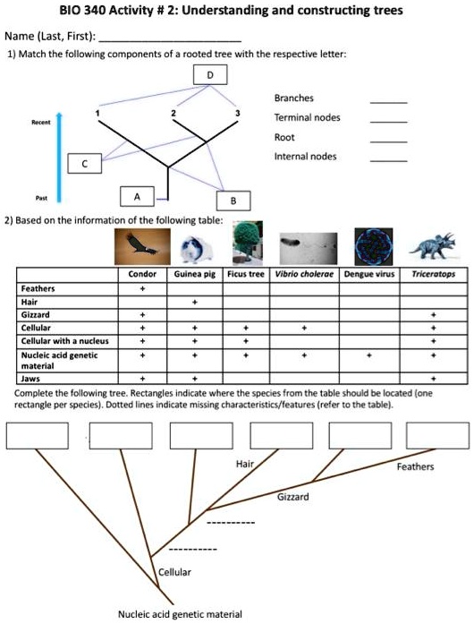 SOLVED: Texts: Urgent!!! Please help solve 1 and 2. BIO 340 Activity #2: Understanding and ...