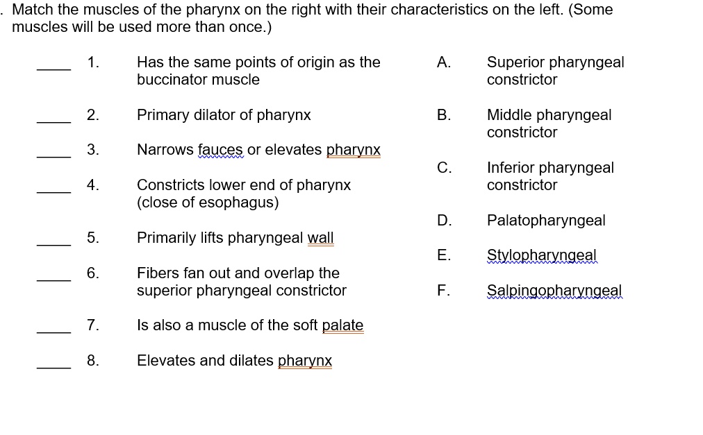 . Match the muscles of the pharynx on the right with their ...