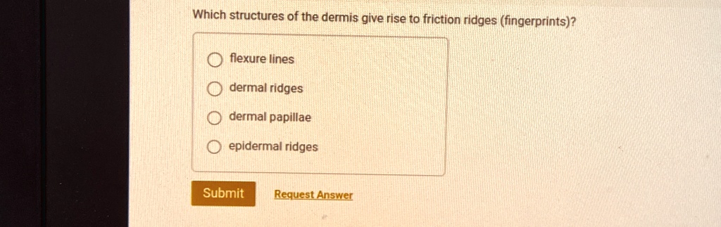 which structures of the dermis give rise to friction ridges ...