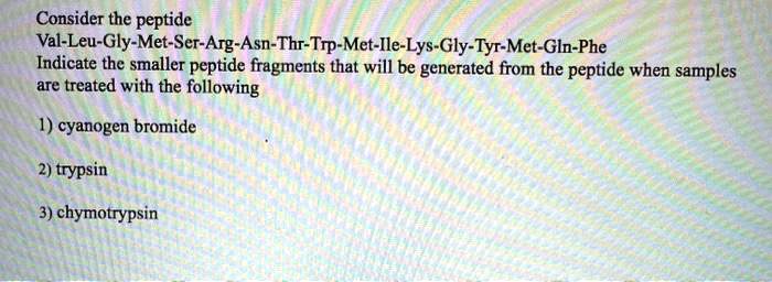 SOLVED: Consider the peptide Val-Leu-Gly-Met-Ser- Atg- Asn-Thr-Trp-Met ...
