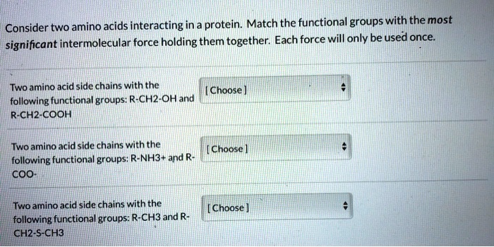 SOLVED: Consider two amino acids interacting in a protein. Match the ...