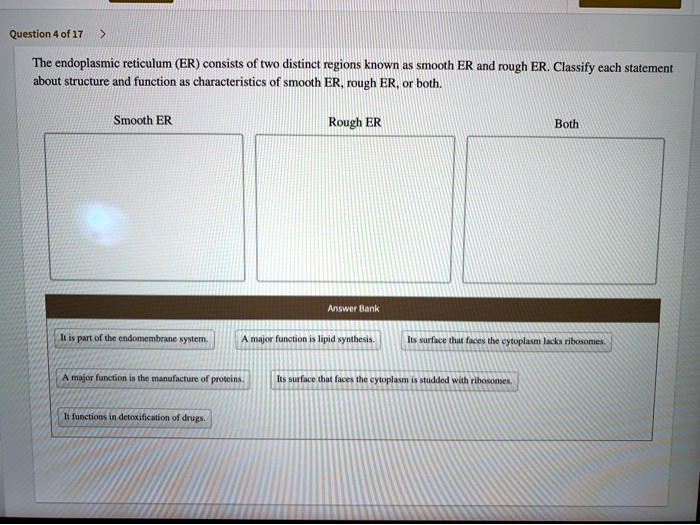 SOLVED: The endoplasmic reticulum (ER) consists of two distinct regions ...
