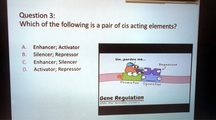 Question 3: Which of the following is a pair of cis acting elements? A ...