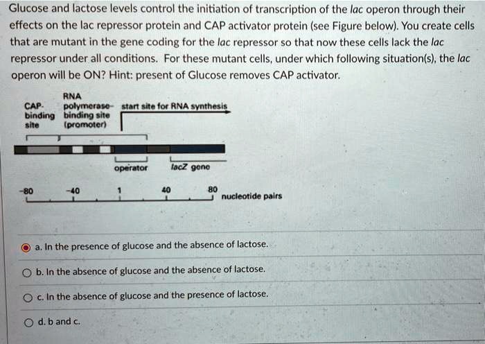Glucose and lactose levels control the initiation of...