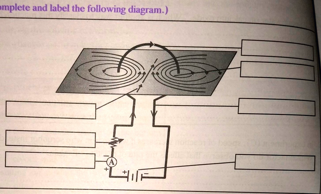 Complete and label the following diagram.