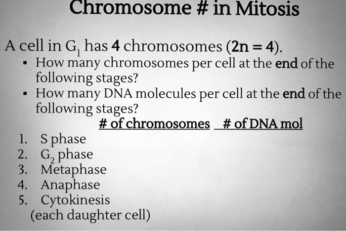 SOLVED: Chromosome Number in Mitosis A cell in G1 has 4 chromosomes (2n ...