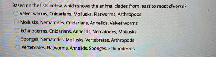 based on the lists below which shows the animal clades from least to ...