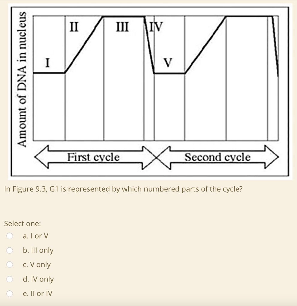 SOLVED: Snapnu in DNA of Amount FsL cycle Second cycle In Figure 9.3 ...