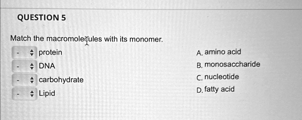 QUESTION 5 Match the macromolecules with its monomer. ? protein DNA ...