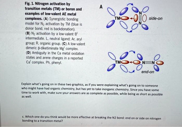 Solved Fig 1 Nitrogen Activation By Transition Metals Tm Or Boron