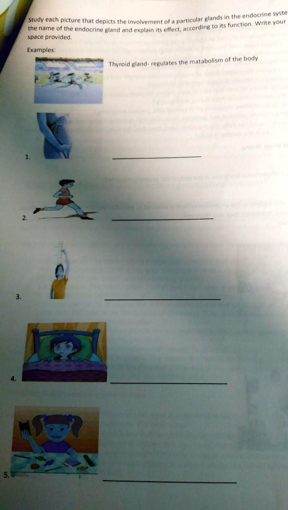 Study each picture that depicts the involvement of a particular glands ...