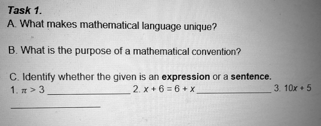 SOLVED: Task 1. A What makes mathematical language unique? Bj What is ...