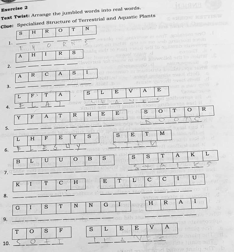 SOLVED: Exercise 2 Text Twist: Arrange the jumbled words into real ...