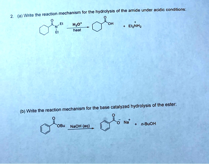 SOLVED: For the hydrolysis of the amide under acidic conditions: (a ...