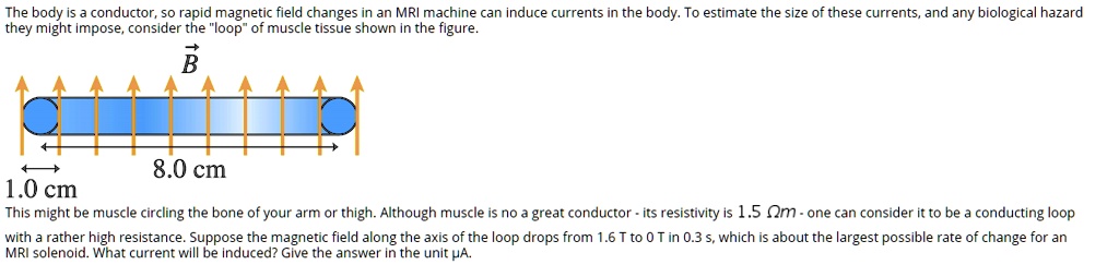 SOLVED: The body is a conductor, so rapid magnetic field changes in an ...