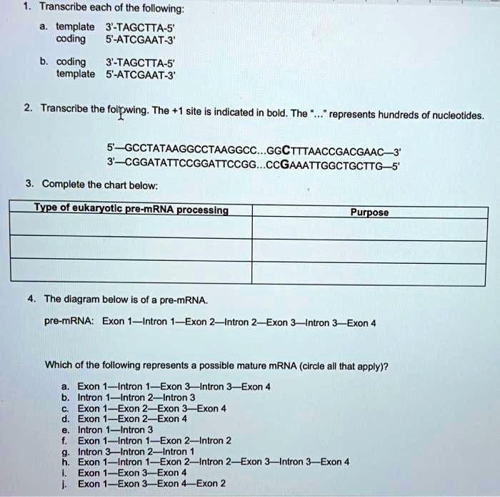 SOLVED: Transcribe each of the following: template 3-TAGCTTA-5' coding ... SOLVED: Transcribe each of the following: template 3-TAGCTTA-5' coding ...