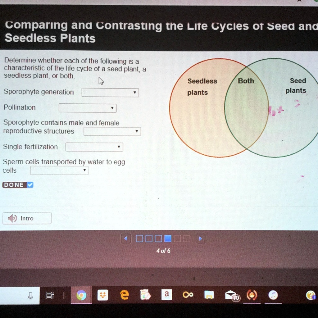 Comparing and Contrasting the Life Cycles of Seed and Seedless Plants ...