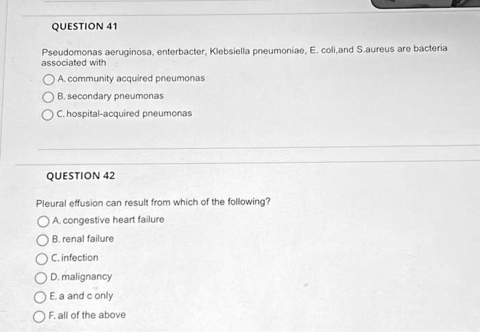 QUESTION 41 Pseudomonas aeruginosa, enterbacter, Klebsiella pneumoniae ...
