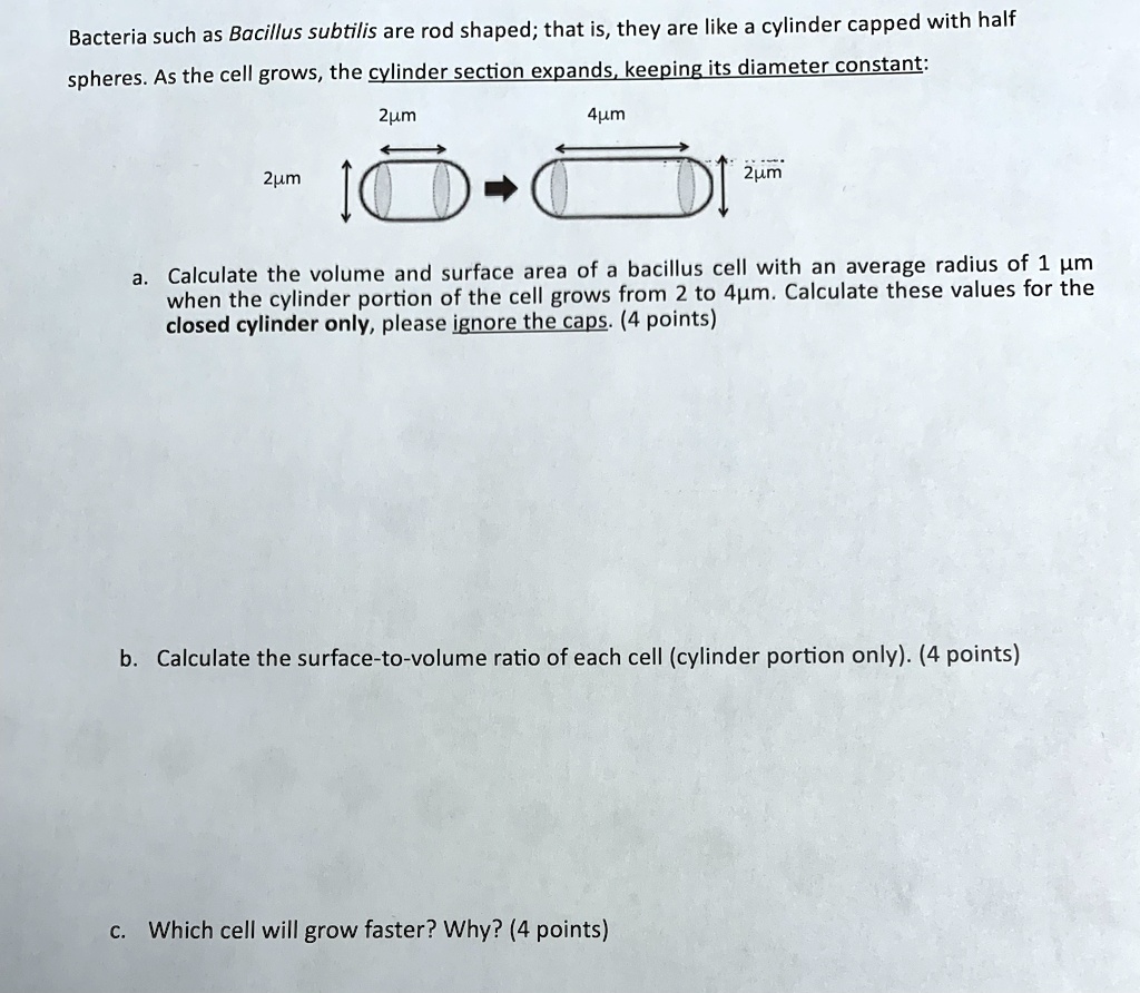 SOLVED: PLEASE SHOW WORKOUT SO I CAN UNDERSTAND Bacteria such as ...