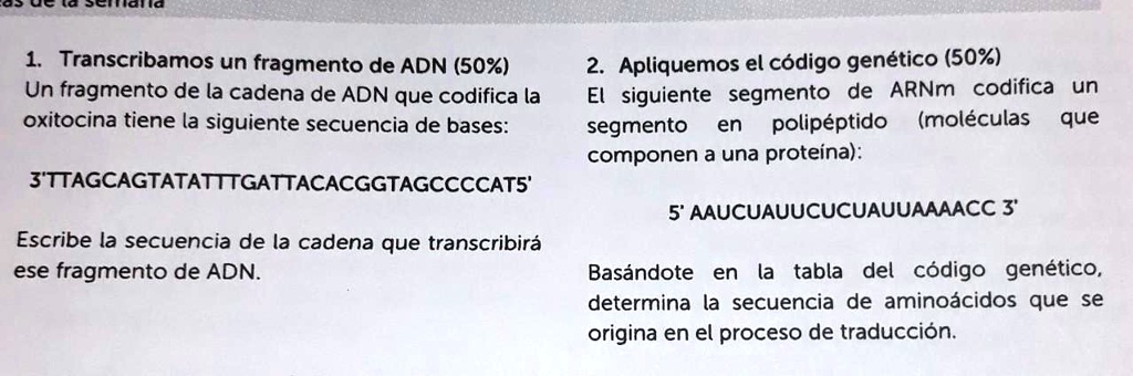 SOLVED: Alguieeeen me ayuda aula Transcribamos un fragmento de ADN (50% ...