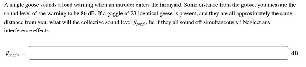 A single goose sounds a loud warning when an intruder enters the ...