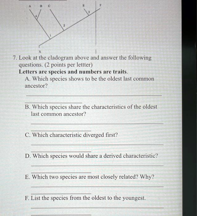 7 look at the cladogram above and answer the following questions 2 ...