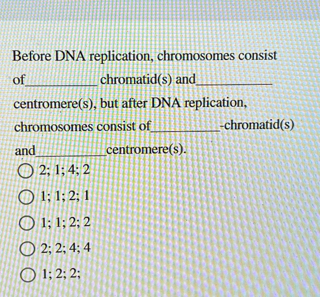 SOLVED: Before DNA replication, chromosomes consist of chromatid(s) and ...