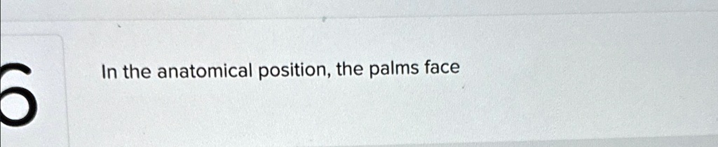 In the anatomical position, the palms face